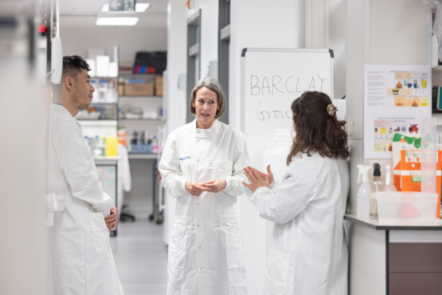 London Biofoundry – Synthetic DNA Engineering | SynbiCITE