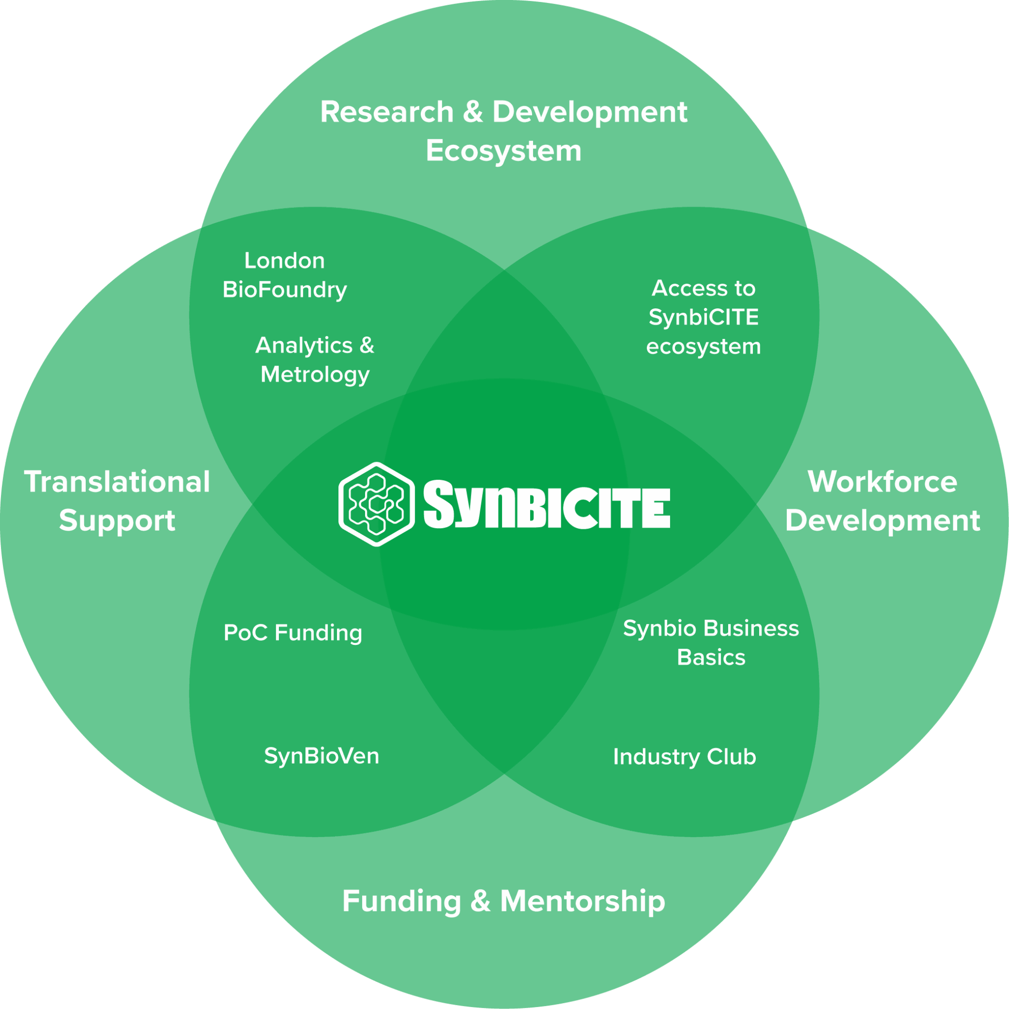 Synthetic Biology Accelerator | SynbiCITE